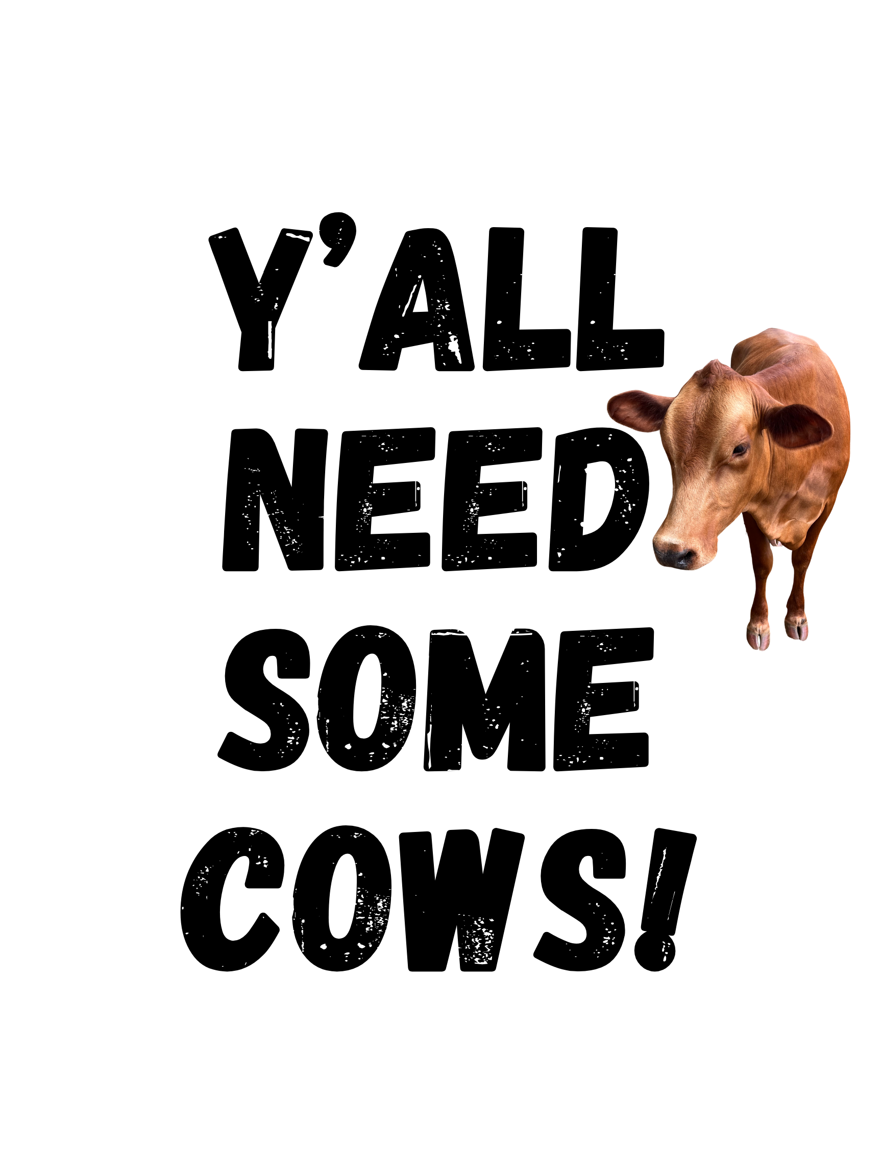 Y'all Need Some Cows! – Krishna Cow Sanctuary